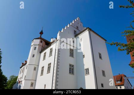 Werdenberg Castle, Werdenbergschloss, Renaissance castle of the Counts ...