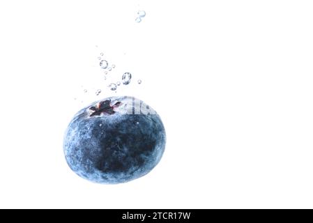 One Organic Blueberry sinking into water with air bubbles white ...