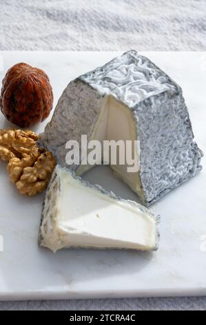 Cheese collection, French Valencay with black mold pyramid cheese made ...