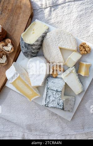 French cheeses collection, Perail les Buissieres sheep cheese ...