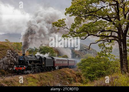 Steam train approaches the camera with billowing steam. Leading lines ...