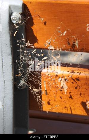 spider net on the back of a bench Stock Photo - Alamy