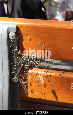 spider net on the back of a bench Stock Photo - Alamy