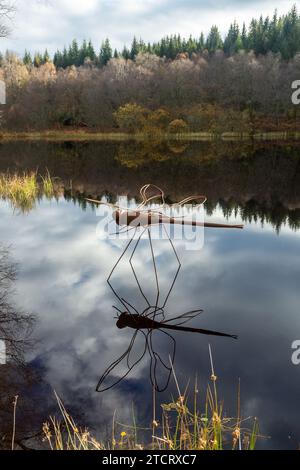 Dragonfly Sculpture created by artist Rob Mulholland Lochan Spling near ...