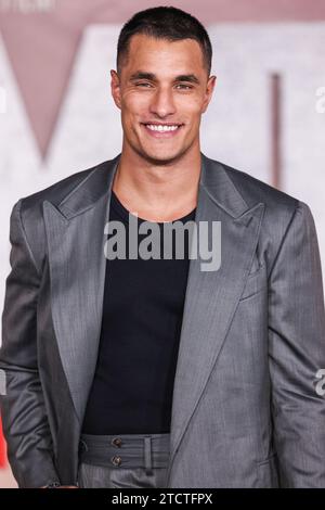 HOLLYWOOD, CA - DECEMBER 13: Staz Nair at the LA Premiere of NETFLIX ...