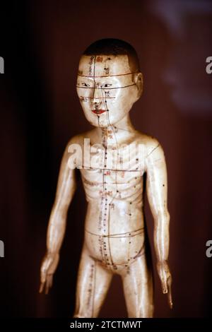 Guimet museum. traditional chinese medicine. Acupuncture manikin. Paris ...