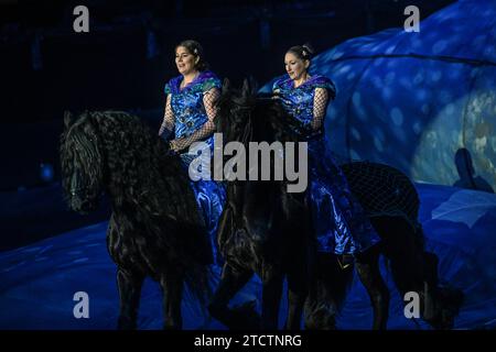 Besuch der Amadeus Horse Indoors in Salzburg zum Besuch der Pferdeshow ...