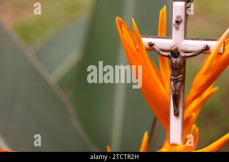 Crucifix of Jesus on a tropical flower. Pray in nature Stock Photo - Alamy