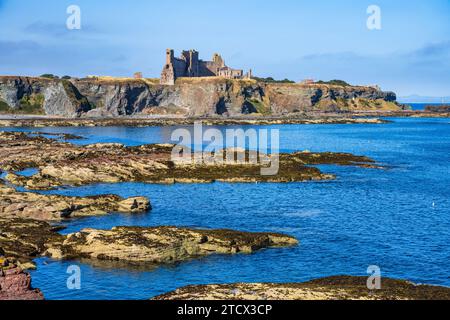 View across rocky outcrops of Oxroad Bay to the ruins of Tantallon ...