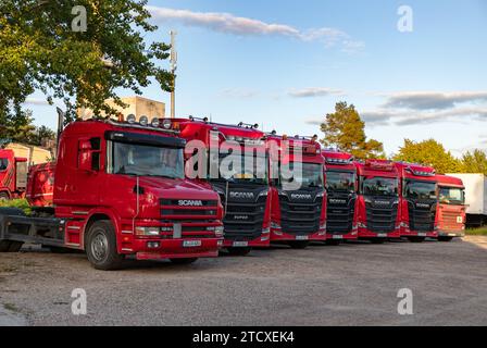 A picture of a row of red Scania trucks Stock Photo - Alamy