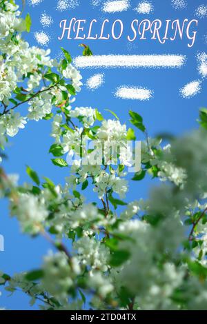 Hello spring, Sun shining through the trees. The beginning of the spring season. Blooming apple ...