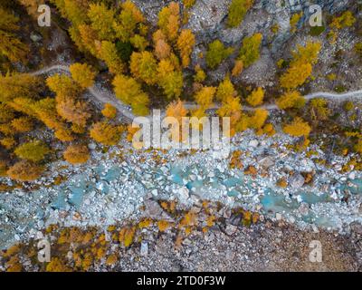Aerial shot of a forest surrounded by a river under the sunlight ...