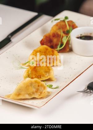Taiwanese and Japanese Pan-fried gyoza dumpling jiaozi food in a plate ...
