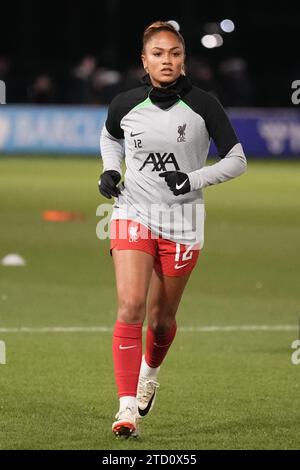 LIVERPOOL, ENGLAND - December 13: Taylor Hinds of Arsenal FC comes on as a second half sub ...