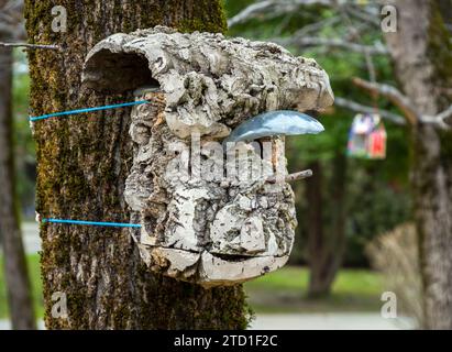 Birdhouse made from pieces of tree bark Stock Photo - Alamy