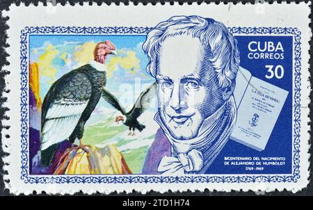 CUBA - CIRCA 1969: A stamp printed in cuba dedicated to fauna of the ...