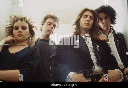 No Friends of Harry, South African Gothic/Alternative Rock Band ...