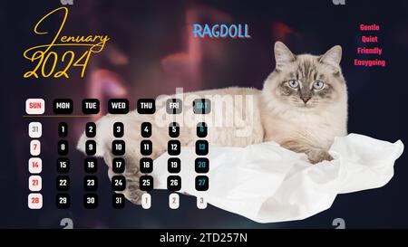 2024 Cats Calendar 13 pages Cover page Stock Photo - Alamy