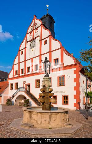 Grimma. Town Hall with Fountain Stock Photo - Alamy