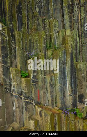 Stolpen: Stolpen Castle and basalt columns, Germany, Sachsen, Saxony ...