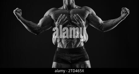 Perfect abdomen. Female hands embracing, touching muscular man abs ...