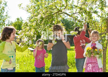 Lamb market in the Hoefgen monument forge Stock Photo - Alamy