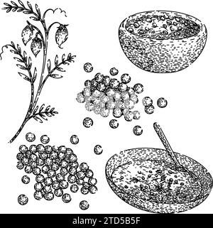 dry lentils sketch hand drawn vector Stock Vector Image & Art - Alamy
