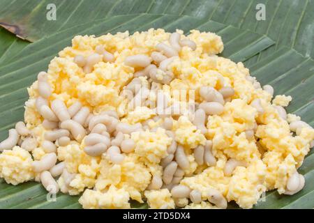 In Thailand ants and ant eggs are a common street food in Thailand ...