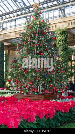 elaborate Christmas display; glass ceiling; hanging baskets; red ...
