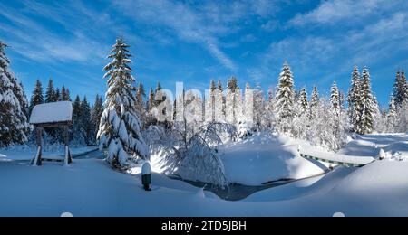 scenic view of a small ditch, or river in a forest in the montseny park ...