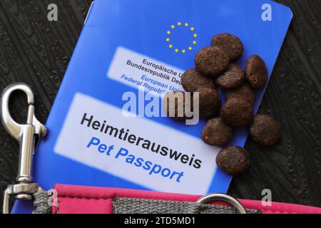 EU pet ID card with the inscription "Pet ID card and Federal Republic ...