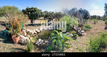 wild garden with fruit trees Stock Photo - Alamy