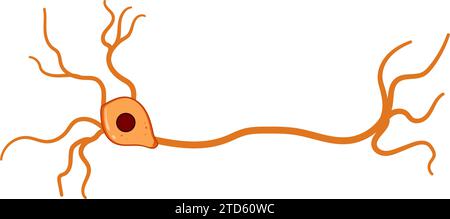 cell neurons cartoon vector illustration Stock Vector Image & Art - Alamy