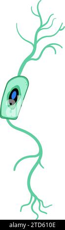 synapse neurons cartoon vector illustration Stock Vector Image & Art ...