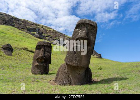 Moai Hinariru (on the right), the “crooked neck” moai, at Rano Raraku ...