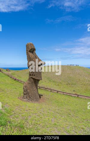 Moai Piro Piro close up at Rano Raraku on Easter Island (Rapa Nui ...