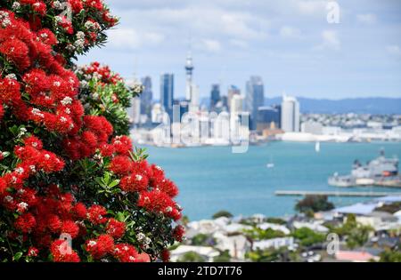 Out-of-focus Auckland Sky Tower and skyline framed by silhouette ...