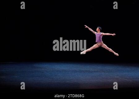 The Australian Ballet 'ART TO SKY' (2014) Male dancers in a large spot ...