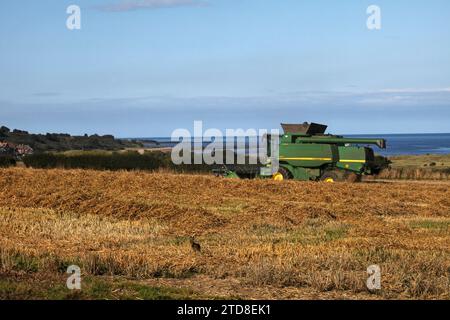 Combine Harvesting seperating grain from chaff Stock Photo - Alamy