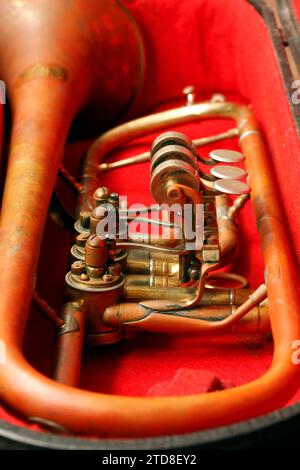 Rotary valve or valved trumpet. Brass Instrument Stock Photo - Alamy