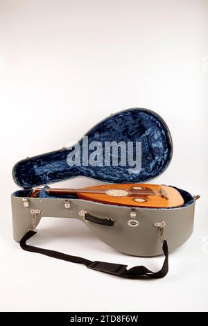 Egyptian Oud. 11 string with highly decorated soundholes. String ...