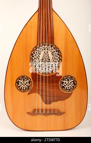 Egyptian Oud. 11 string with highly decorated soundholes. String ...