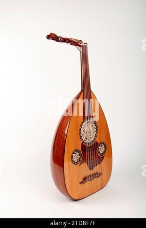 Egyptian Oud. 11 string with highly decorated soundholes. String ...