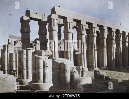 Louqsor, Egypt, Africa Colonnade of Amenophis III, Habitat ...