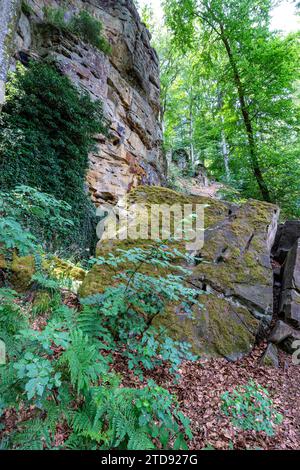 Huge sandstone rock covered with moss and wild vegetation, viewed from a lower perspective ...