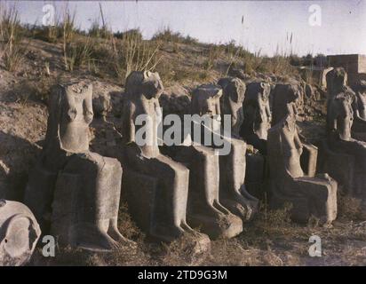 Karnak, Egypt, Africa several statues of the goddess Sekhmet , 1914 ...
