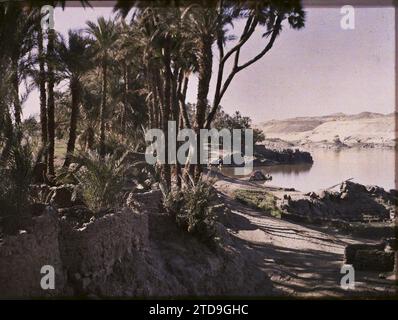 Aswan, Egypt, Africa Shores of Elephantine Island, Nature, Environment ...