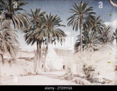 Marabout in a palm oasis near the Berber village of Matmata, Tunisia ...
