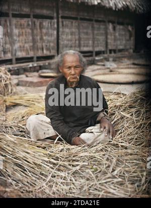 Tonkin, Indochina Rice harvest, Human beings, Clothing, Economic ...