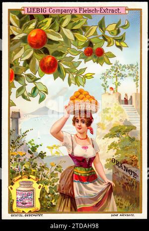 s630 Fruit and Women in Costume, Pineapples - Vintage Liebig Trade Card ...